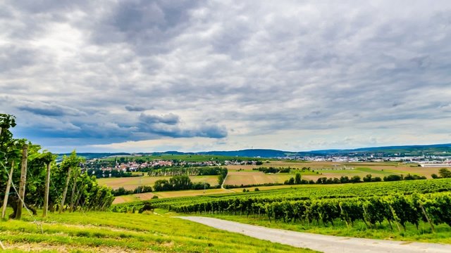 Wengert Images – Parcourir 820 le catalogue de photos, vecteurs et ...