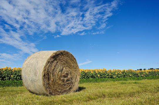 「Heurolle」の画像 - 192 件の Stock 写真、ベクターおよびビデオ | Adobe Stock