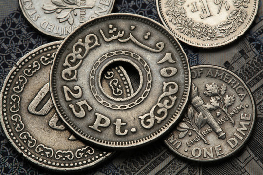 38 BEST Ersh IMAGES, STOCK PHOTOS & VECTORS | Adobe Stock