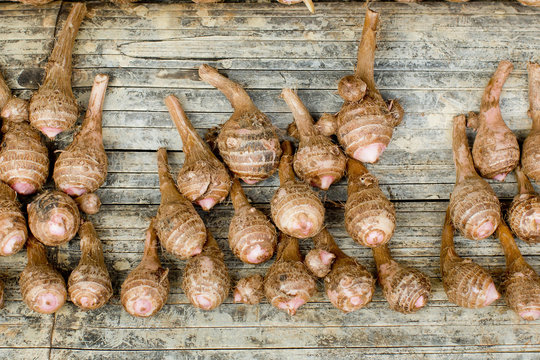 "Taro Corm" Bilder – Durchsuchen 213 Archivfotos, Vektorgrafiken und ...