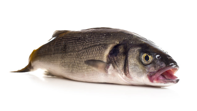 รูปภาพDrudo – เลือกดูภาพถ่ายสต็อก เวกเตอร์ และวิดีโอ3 | Adobe Stock