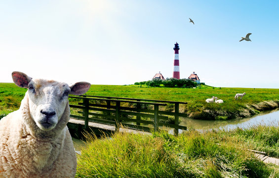 Warft Bilder – Durchsuchen 813 Archivfotos, Vektorgrafiken und Videos ...