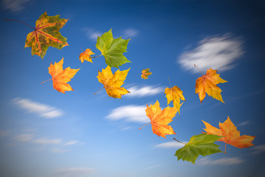 Herbstbeginn bilder – Bläddra bland 1,361 stockfoton, vektorer och ...