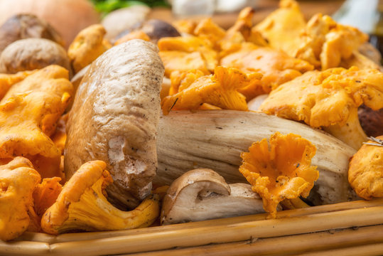 Finferlo Képek – Böngésszen 123 stockfotókat, vektorokat és videókat ...