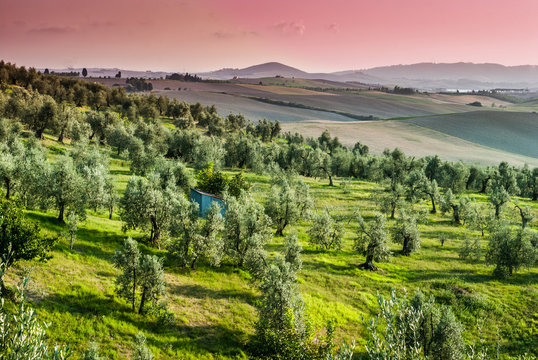รูปภาพToscano – เลือกดูภาพถ่ายสต็อก เวกเตอร์ และวิดีโอ6,998 | Adobe Stock