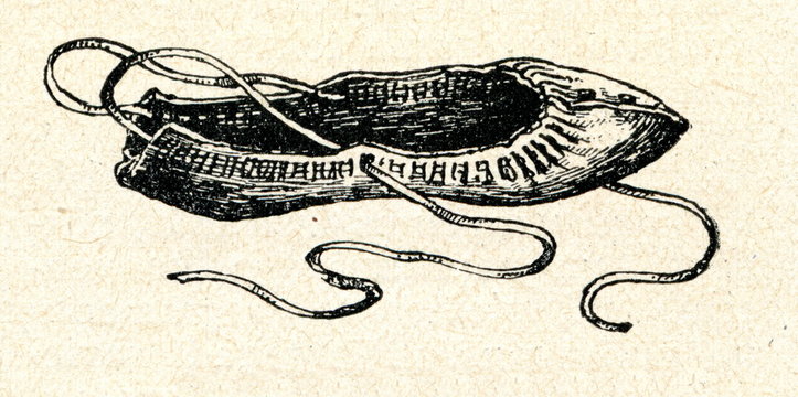 รูปภาพPastalas – เลือกดูภาพถ่ายสต็อก เวกเตอร์ และวิดีโอ10 | Adobe Stock