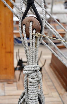 Segelknoten Images – Browse 39 Stock Photos, Vectors, and Video | Adobe Stock