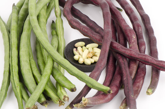 Utong Images – Browse 10 Stock Photos, Vectors, and Video | Adobe Stock