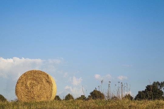「Heurolle」の画像 - 192 件の Stock 写真、ベクターおよびビデオ | Adobe Stock