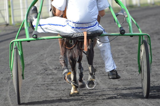 Imágenes de Sulky: descubre bancos de fotos, ilustraciones, vectores y ...