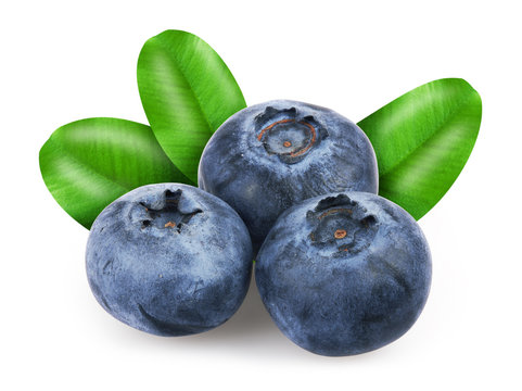 รูปภาพHuckleberry – เลือกดูภาพถ่ายสต็อก เวกเตอร์ และวิดีโอ35,506 ...