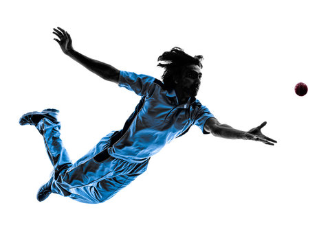 Cricket Fielder Logo