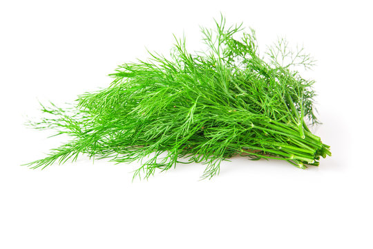 tinnko 写真、画像、アセット | Adobe Stock