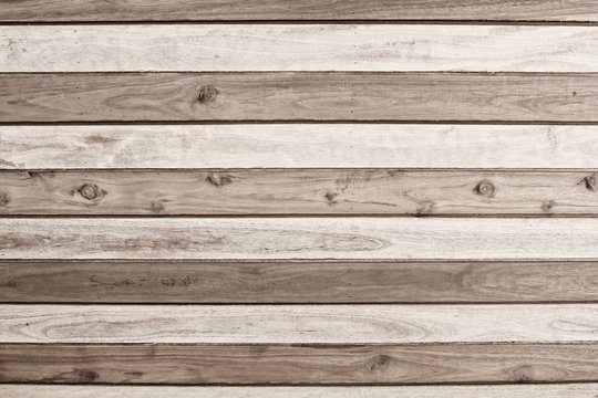 รูปภาพPanal – เลือกดูภาพถ่ายสต็อก เวกเตอร์ และวิดีโอ1,759 | Adobe Stock