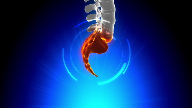 Backbone Video Footage – Browse 35,119 HD Stock Video and Footage ...