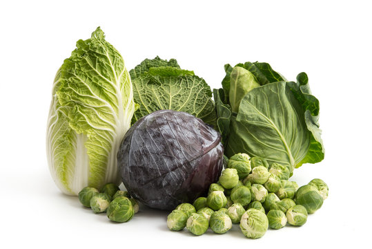 Kohlarten Images – Browse 4 Stock Photos, Vectors, and Video | Adobe Stock