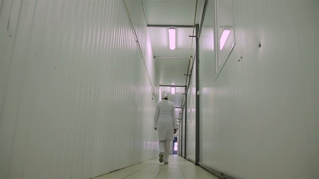 "Food Lab" Bilder – Durchsuchen 54 Archivfotos, Vektorgrafiken und ...