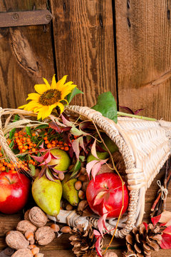 Cornocopia Bilder – Durchsuchen 107 Archivfotos, Vektorgrafiken und ...