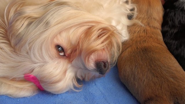 รูปภาพShable – เลือกดูภาพถ่ายสต็อก เวกเตอร์ และวิดีโอ74 | Adobe Stock