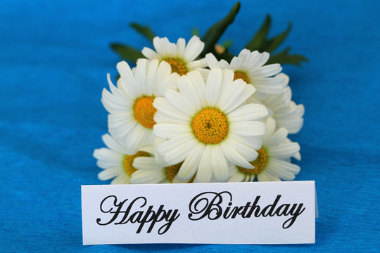 Happy Birthday Daisies