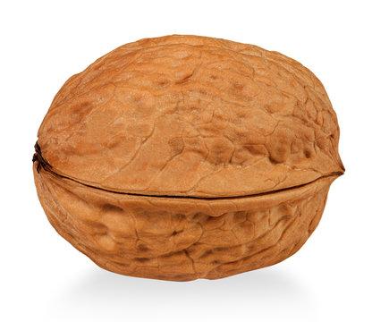 รูปภาพNutshell – เลือกดูภาพถ่ายสต็อก เวกเตอร์ และวิดีโอ201,265 | Adobe ...