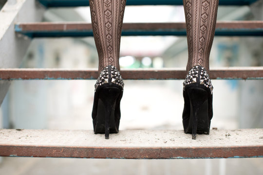 รูปภาพTalons – เลือกดูภาพถ่ายสต็อก เวกเตอร์ และวิดีโอ47,530 | Adobe Stock