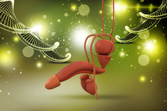 รูปภาพSchlong – เลือกดูภาพถ่ายสต็อก เวกเตอร์ และวิดีโอ330 | Adobe Stock