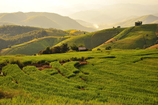 "Terraced Fields" Images – Browse 5,321 Stock Photos, Vectors, and ...
