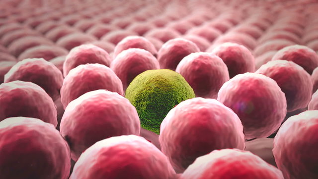 "Stem Cell" Images – Browse 6,857 Stock Photos, Vectors, and Video ...