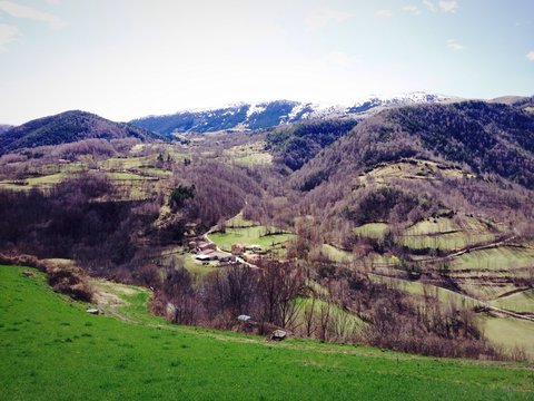 รูปภาพBosc – เลือกดูภาพถ่ายสต็อก เวกเตอร์ และวิดีโอ1,780 | Adobe Stock