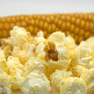 รูปภาพPuffmais – เลือกดูภาพถ่ายสต็อก เวกเตอร์ และวิดีโอ255 | Adobe Stock