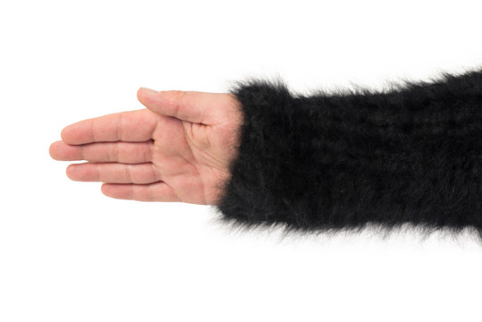 "Offene Hand" Images – Browse 131 Stock Photos, Vectors, and Video ...