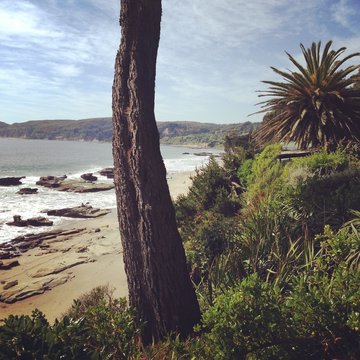 Octava Images – Browse 40 Stock Photos, Vectors, and Video | Adobe Stock