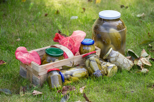 Nobod Images – Browse 357 Stock Photos, Vectors, and Video | Adobe Stock