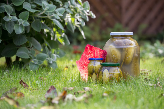 Nobod Images – Browse 357 Stock Photos, Vectors, and Video | Adobe Stock