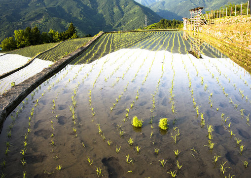 Inaki Images – Browse 55 Stock Photos, Vectors, and Video | Adobe Stock