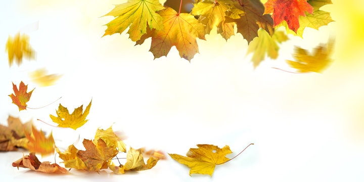 รูปภาพListek – เลือกดูภาพถ่ายสต็อก เวกเตอร์ และวิดีโอ920 | Adobe Stock