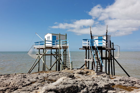 13,951 MEILLEURES Carrelet IMAGES, PHOTOS ET ILLUSTRATIONS VECTORIELLES ...