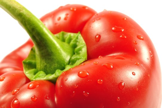 Strunk Bilder – Durchsuchen 1,026 Archivfotos, Vektorgrafiken und ...