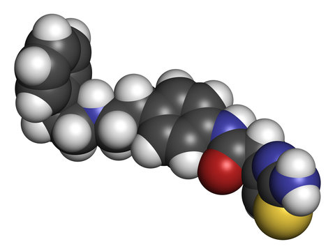 Mirabegron Images – Browse 25 Stock Photos, Vectors, and Video | Adobe Stock