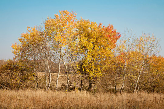 Worest Images – Browse 38 Stock Photos, Vectors, and Video | Adobe Stock