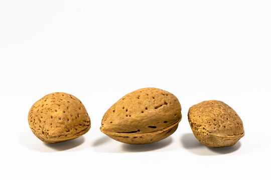 Imágenes de Mandel: descubre bancos de fotos, ilustraciones, vectores y ...