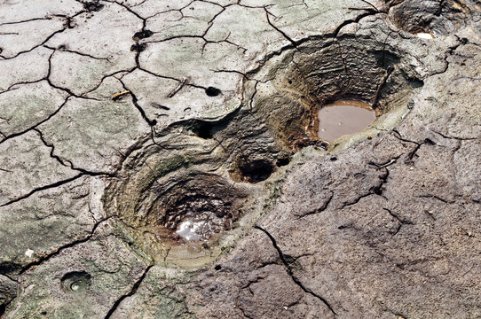 Mofette Images – Browse 225 Stock Photos, Vectors, and Video | Adobe Stock