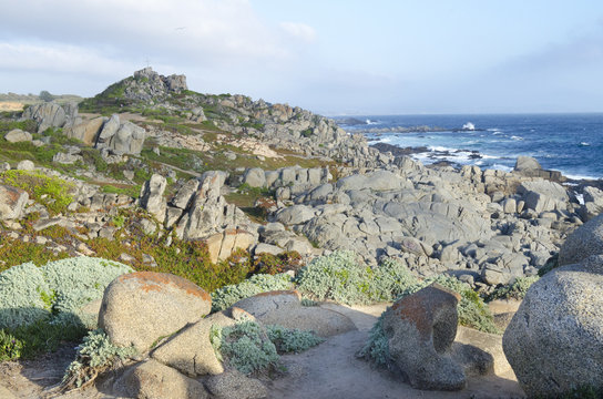 Pendice Images – Browse 182 Stock Photos, Vectors, and Video | Adobe Stock