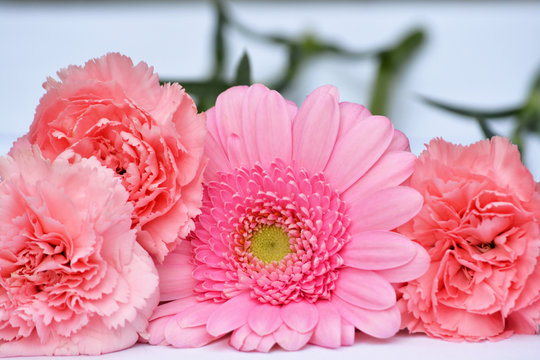 Anjer Images – Browse 35 Stock Photos, Vectors, and Video | Adobe Stock