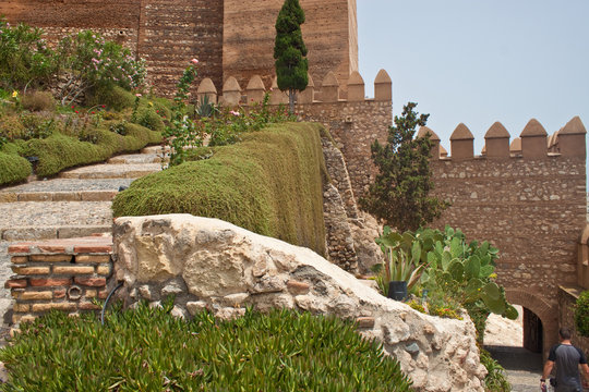 Jayran Images – Browse 47 Stock Photos, Vectors, and Video | Adobe Stock