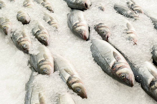 Lavrak Images – Browse 43 Stock Photos, Vectors, and Video | Adobe Stock