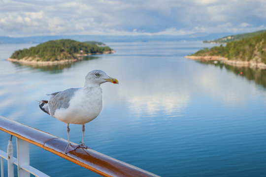 Himel Images – Parcourir 379 le catalogue de photos, vecteurs et vidéos ...