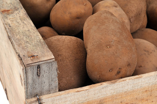 "Cageot De Pommes De Terre" Images – Browse 6 Stock Photos, Vectors ...