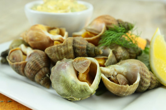 Bulots Imagens – Procure 426 fotos, vetores e vídeos | Adobe Stock